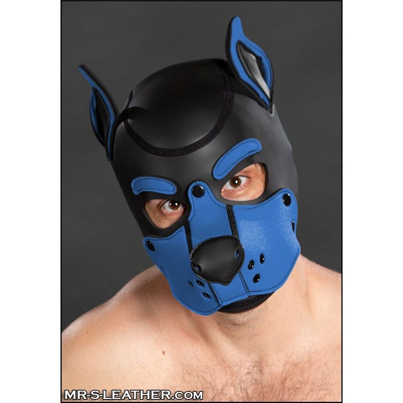 Neo K9 Hood Cobalt