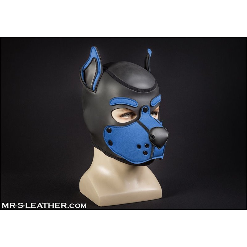 Neo K9 Hood Cobalt